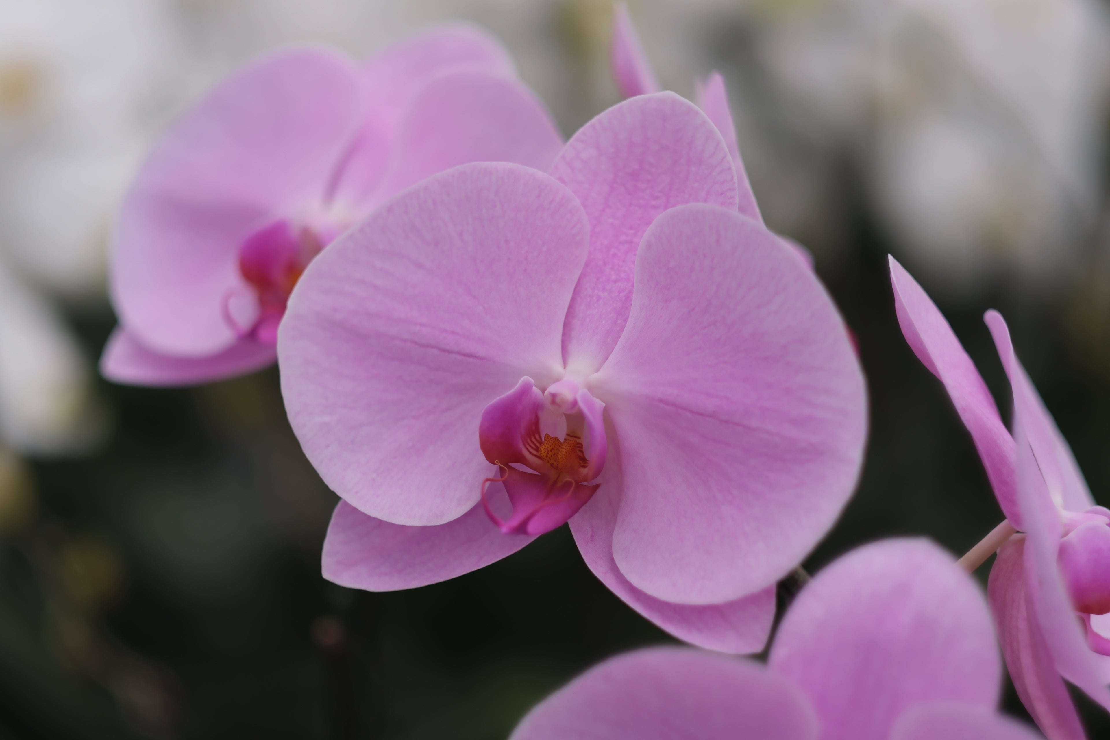 8月も終わる。 – GORI STORE