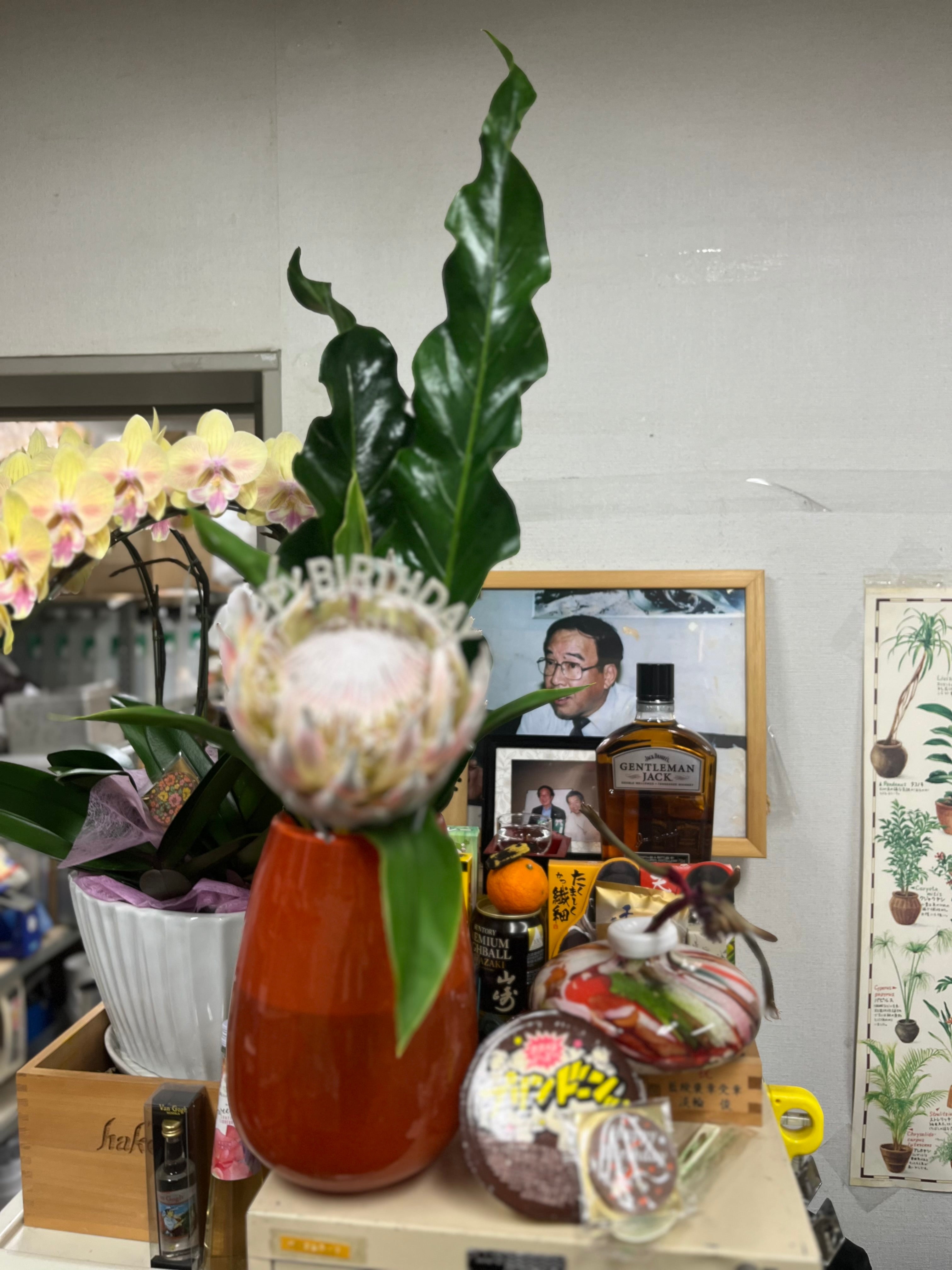 先代の誕生日4月27日 – GORI STORE