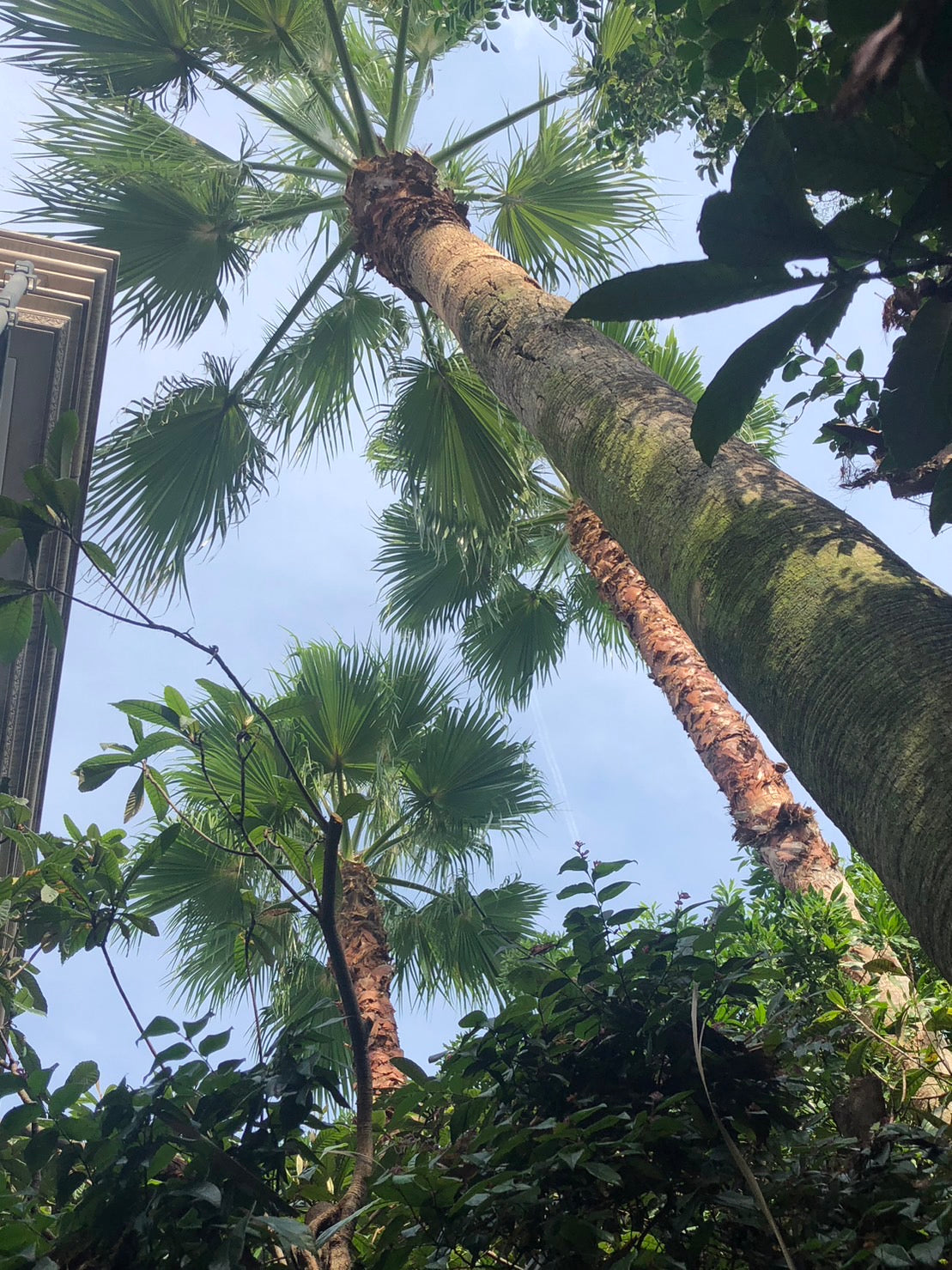 8月ももう終わり – GORI STORE