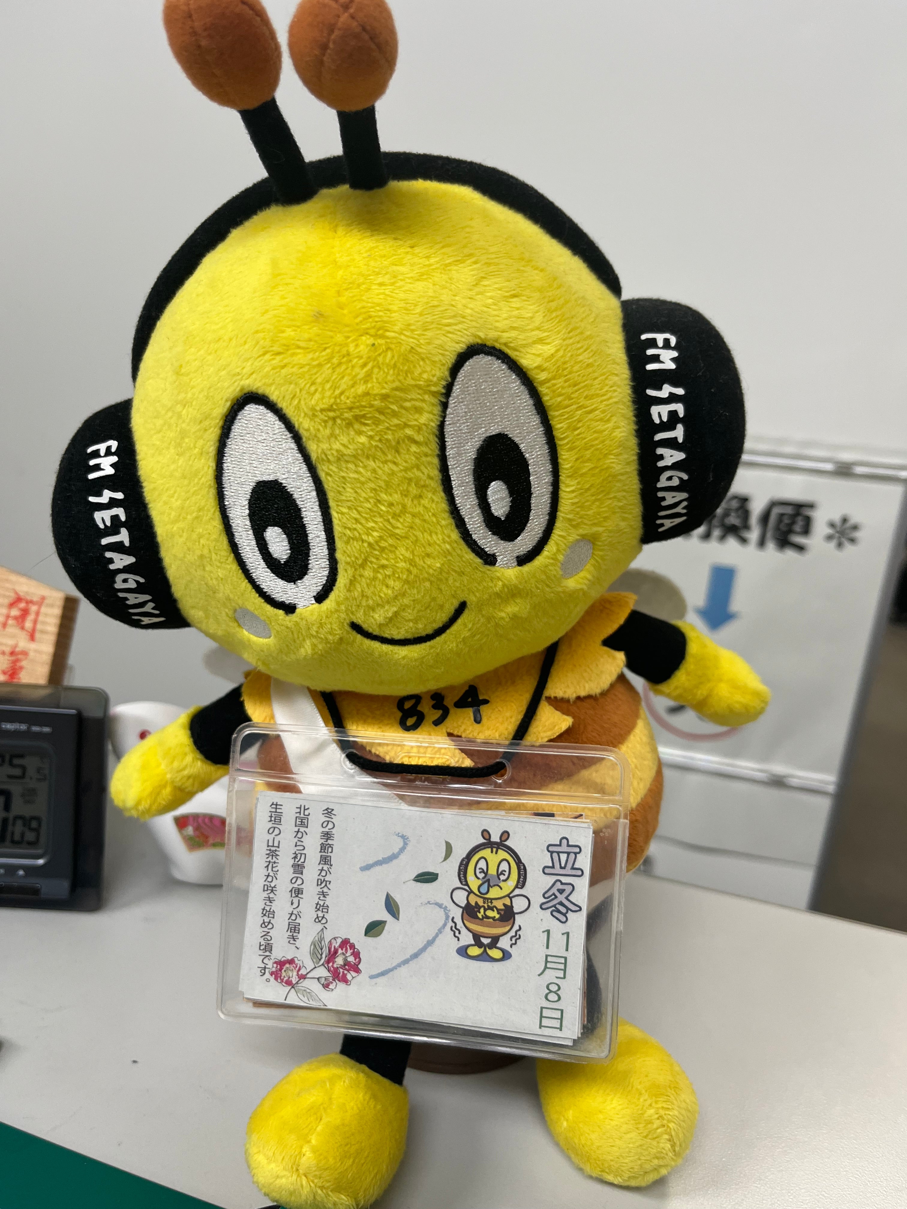 繁忙期 – GORI STORE