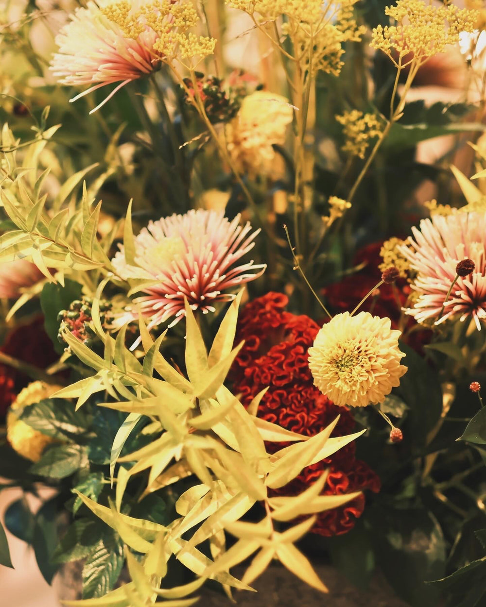 GORI日記 – Page 3 – GORI STORE