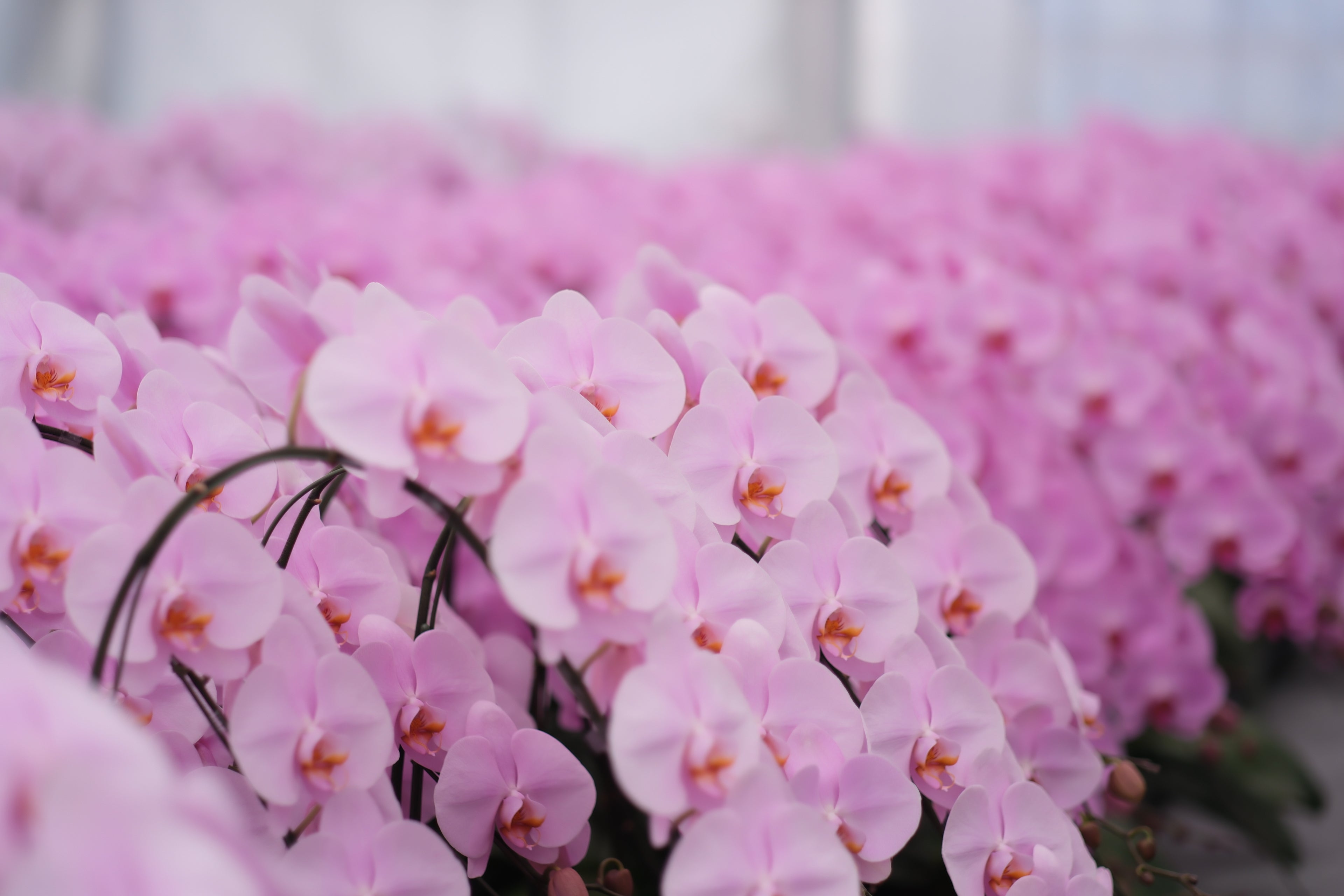 GORI日記 – Page 2 – GORI STORE