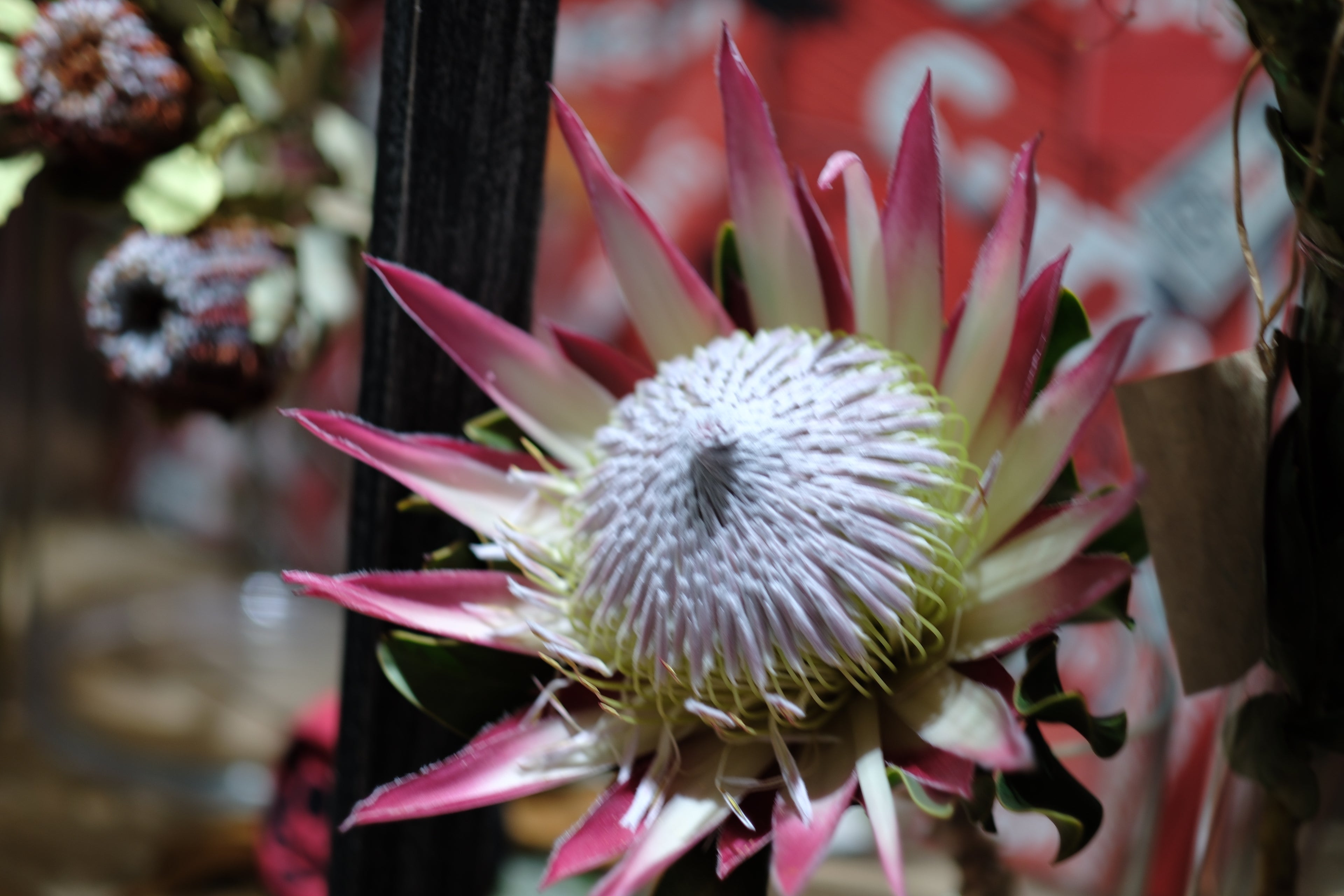 時代 – GORI STORE