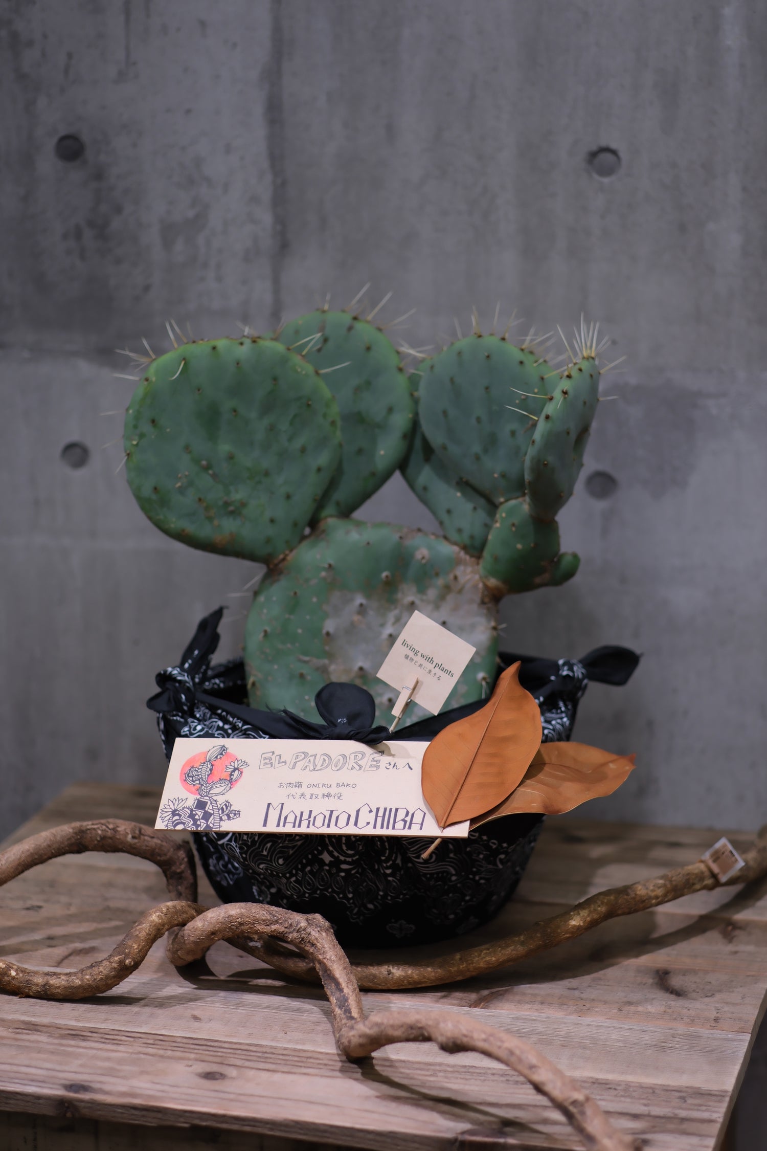 ストーリー – GORI STORE