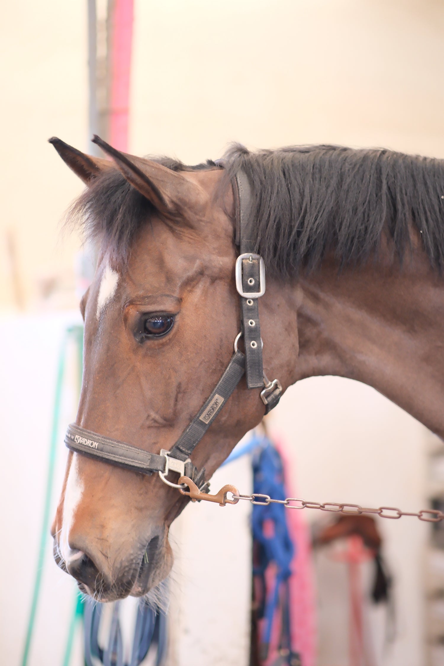 個人プレーの限界 – GORI STORE