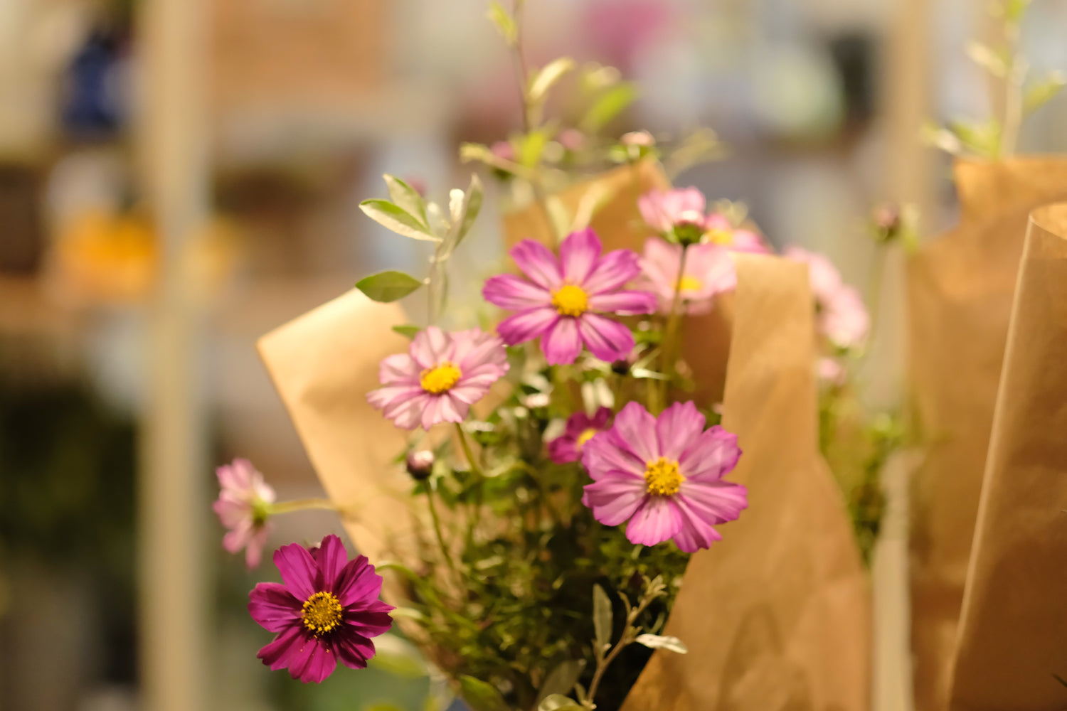 GORI日記 – Page 3 – GORI STORE