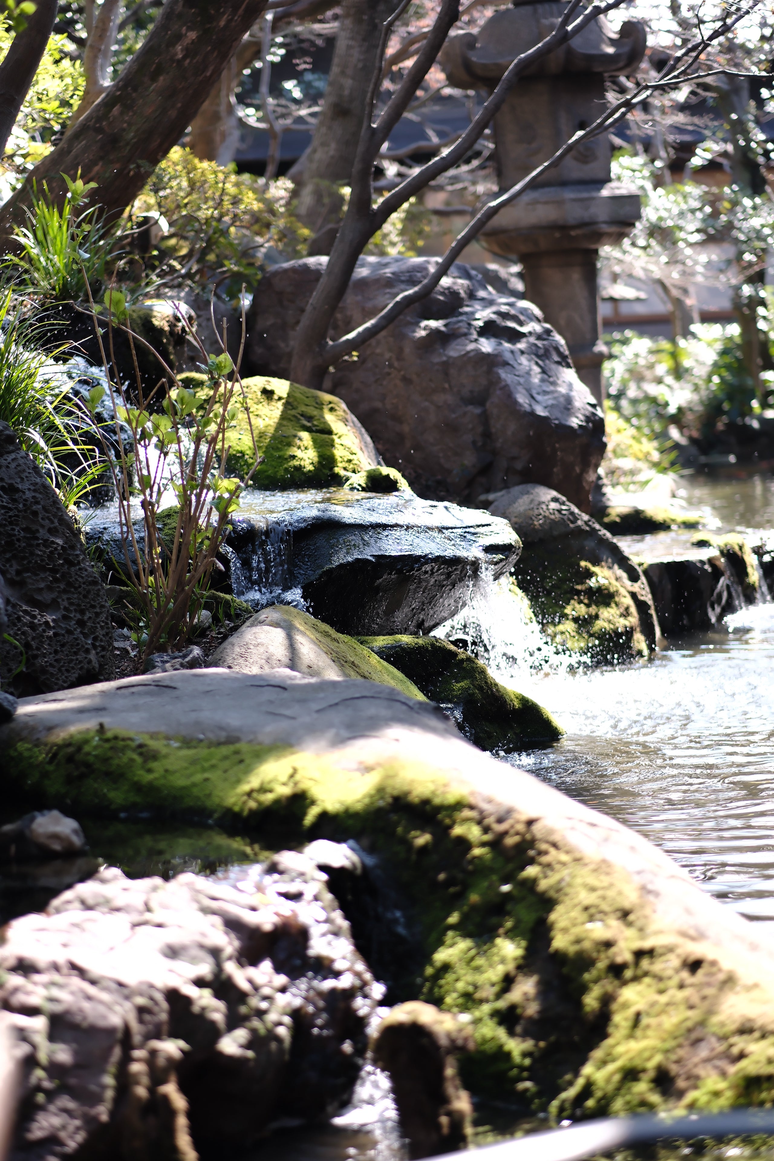 初心忘るべからず – GORI STORE