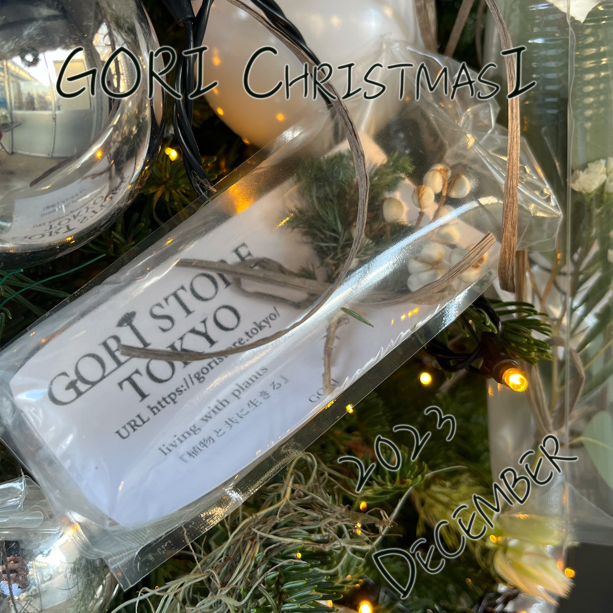 12月スタート – GORI STORE