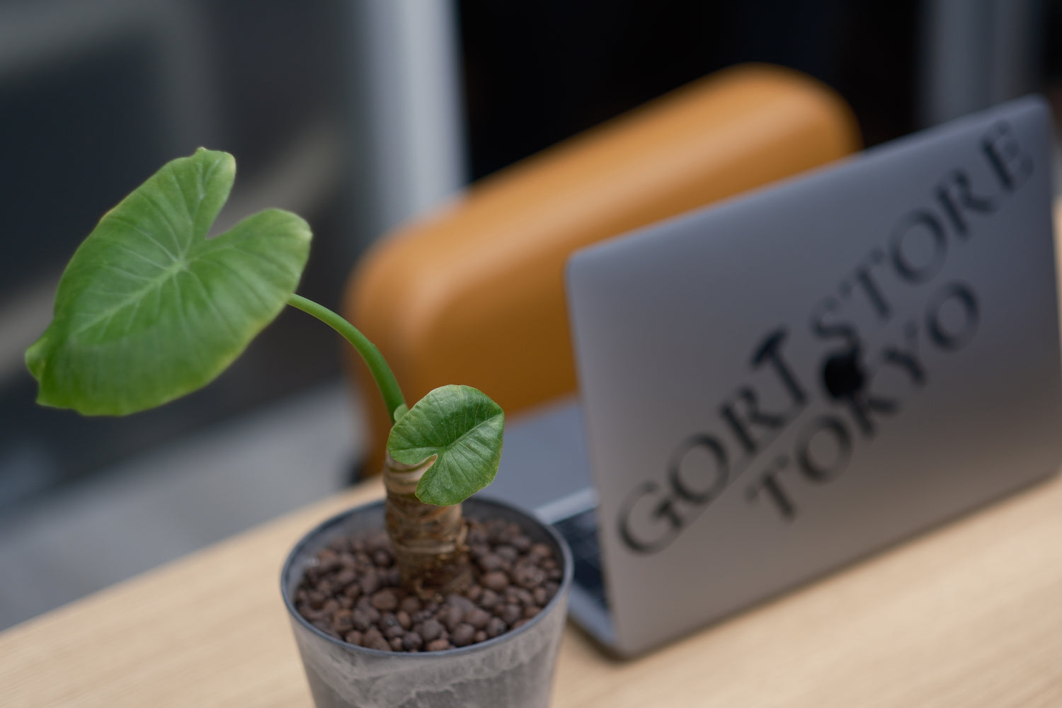 鶏が先卵が先か – GORI STORE