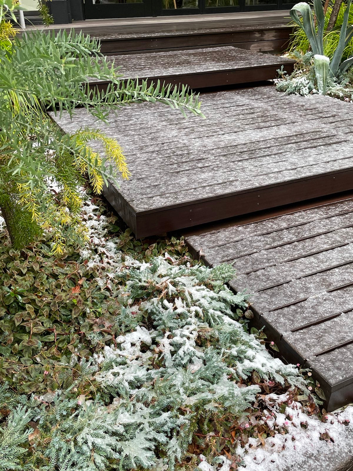 3月は花屋にとって繁忙期 – GORI STORE