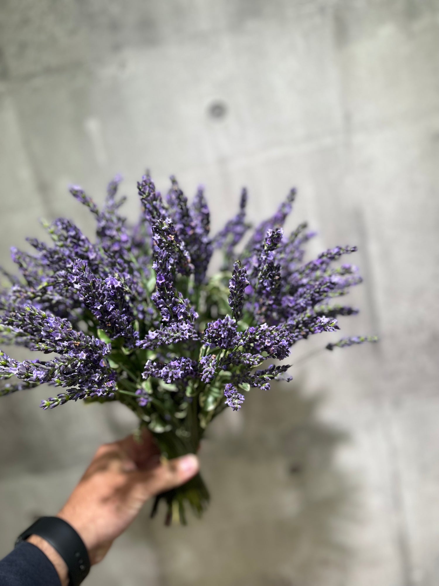 香り – GORI STORE