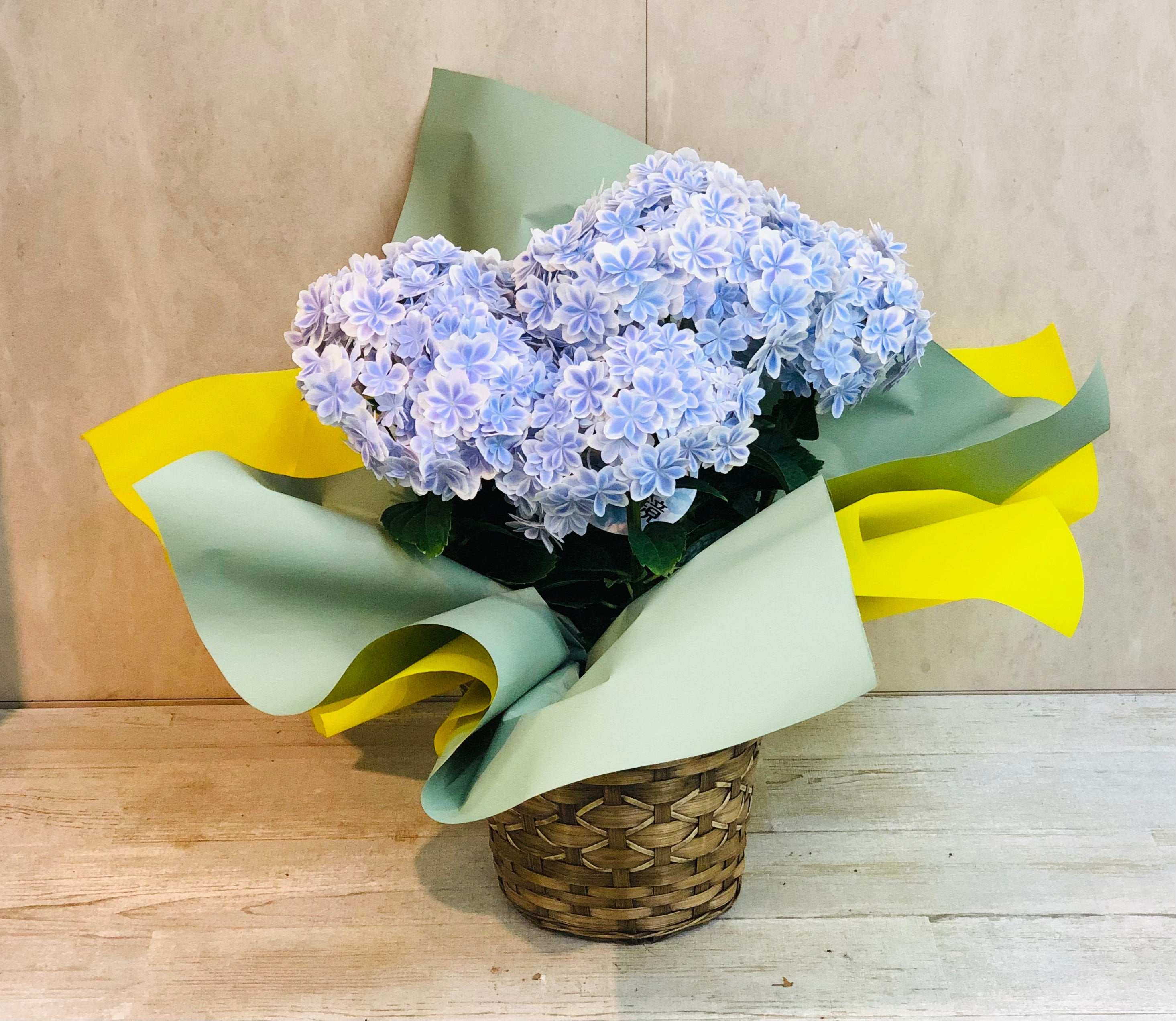 紫陽花 万華鏡 – GORI STORE