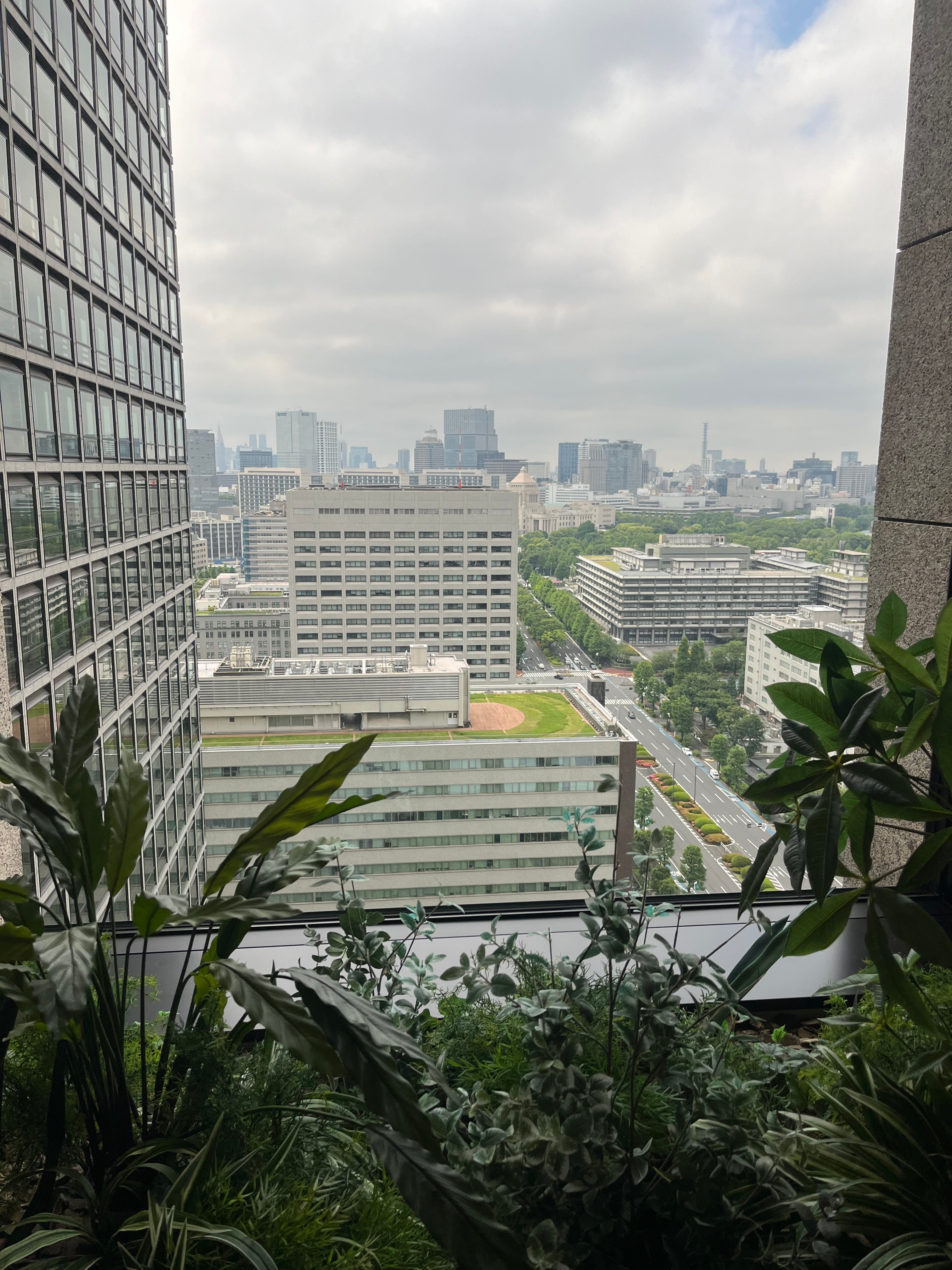 GORI日記 – GORI STORE