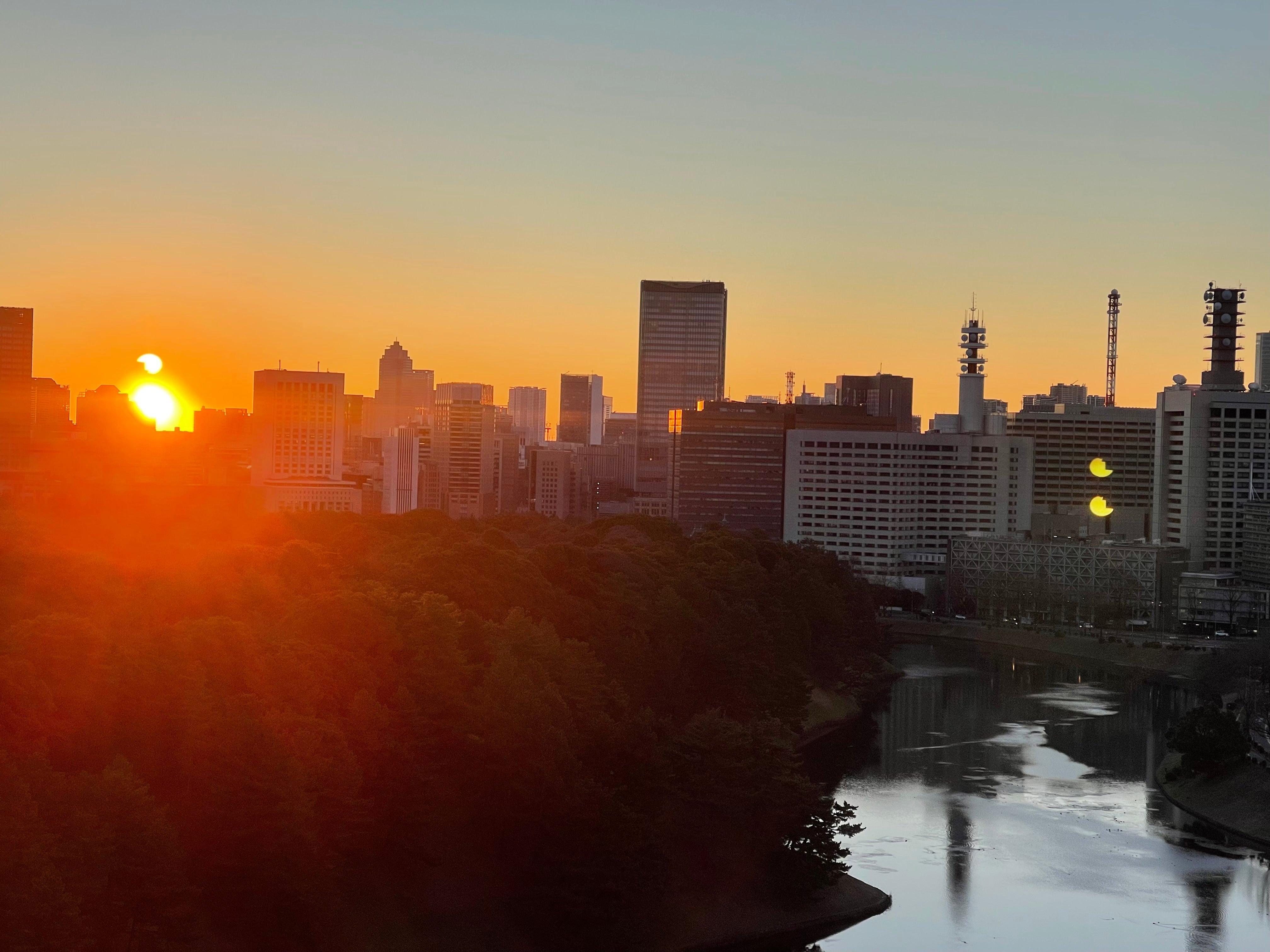 GORI日記 – Page 3 – GORI STORE