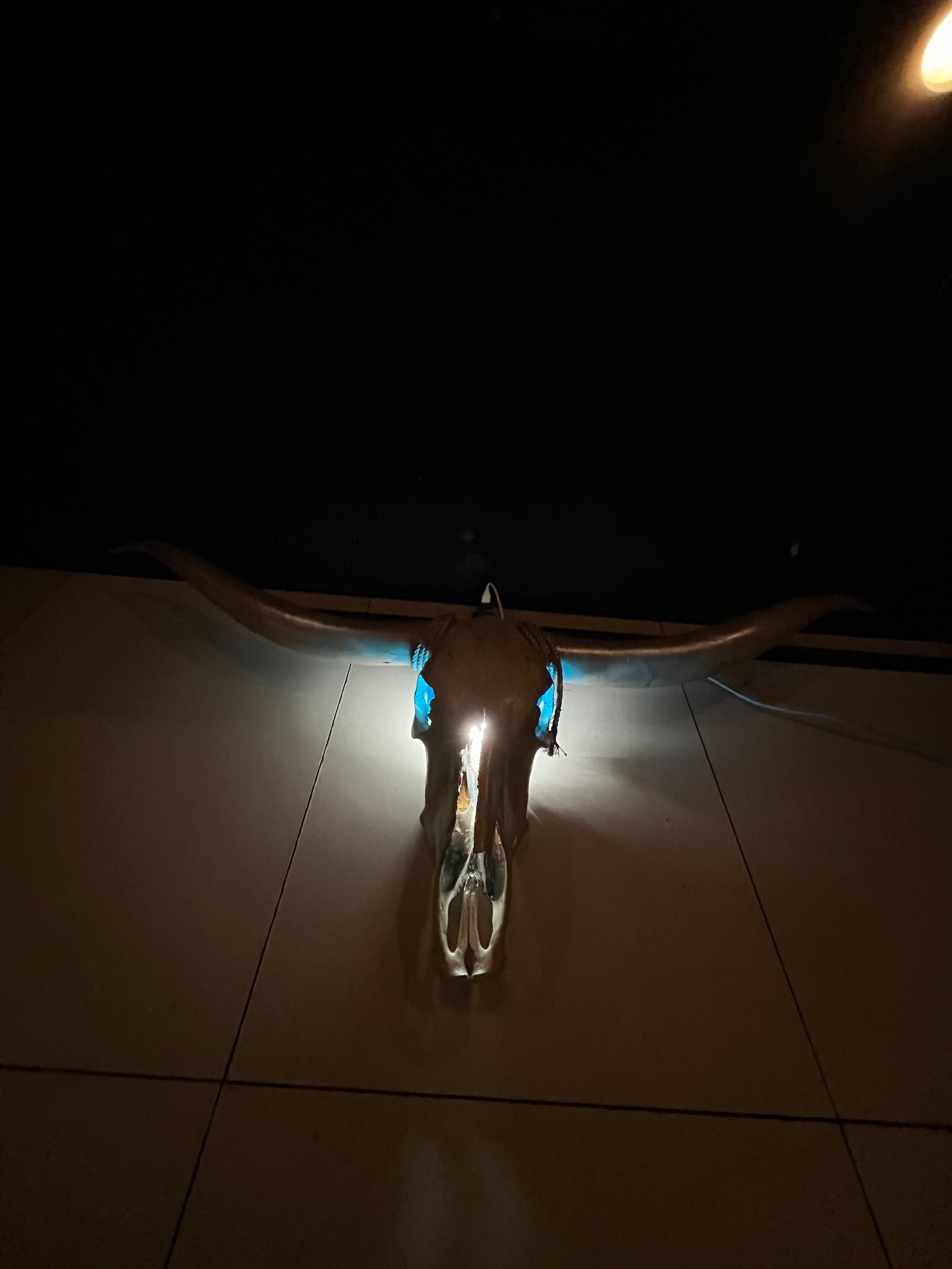 出会い – GORI STORE