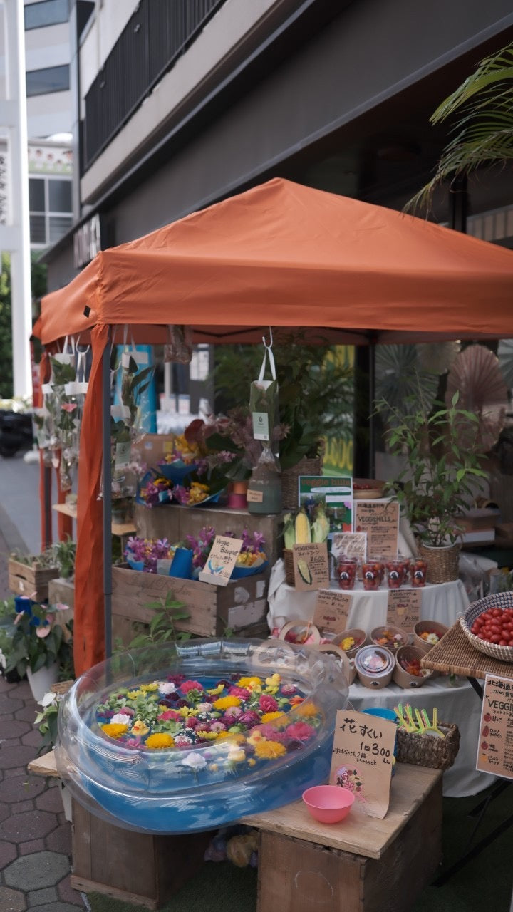 変化 – GORI STORE