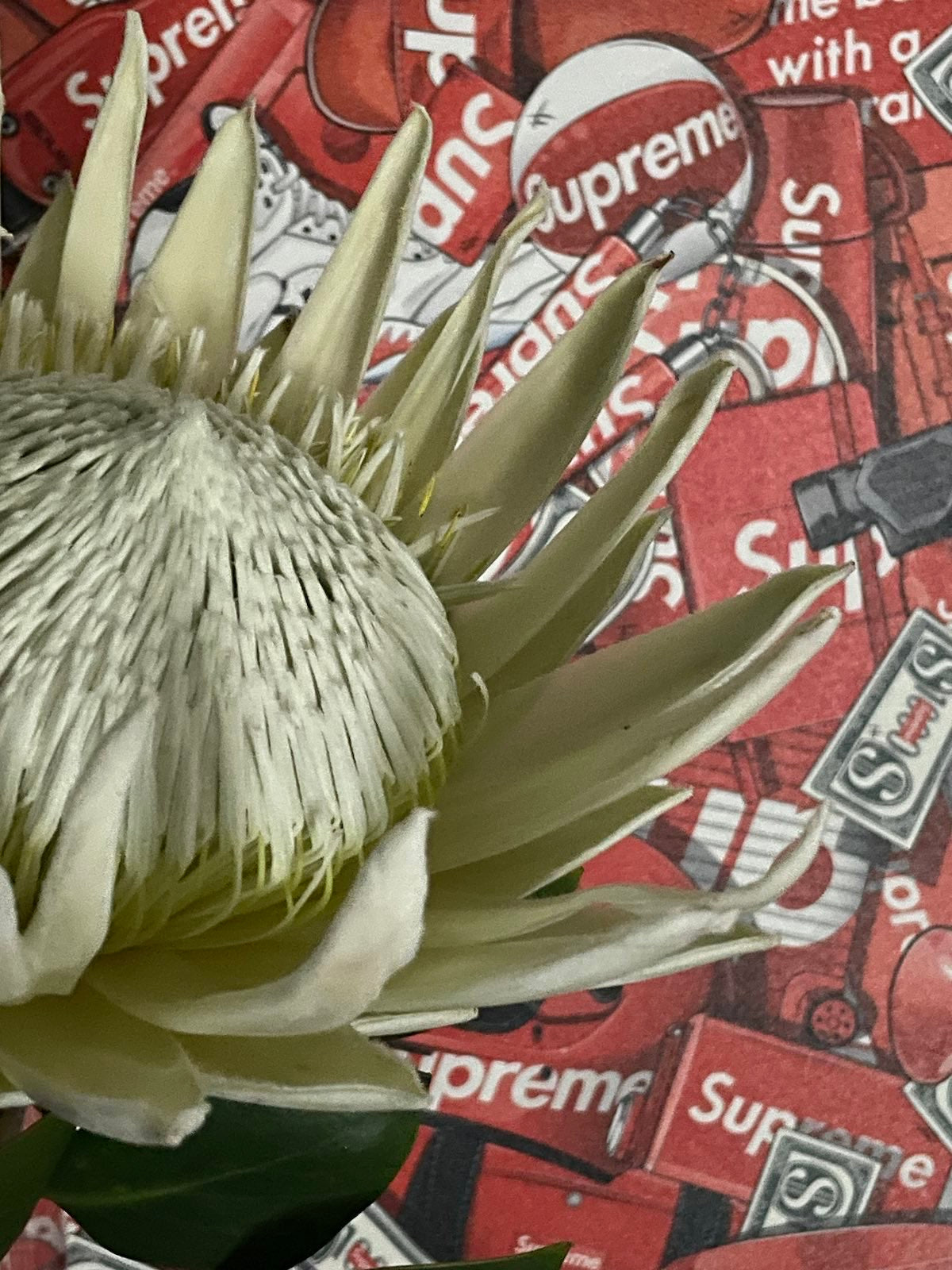 GORI日記 – Page 3 – GORI STORE