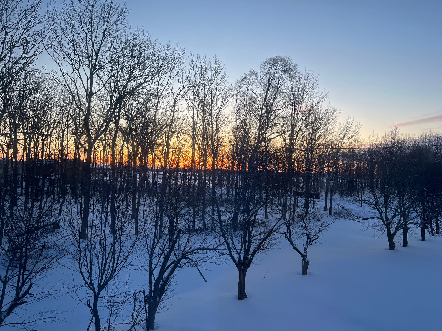 新年早々 – GORI STORE